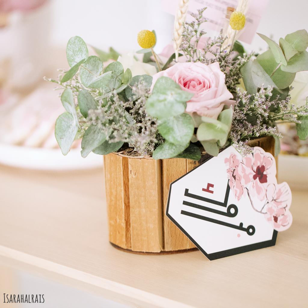 Set Collections – The Dana Store